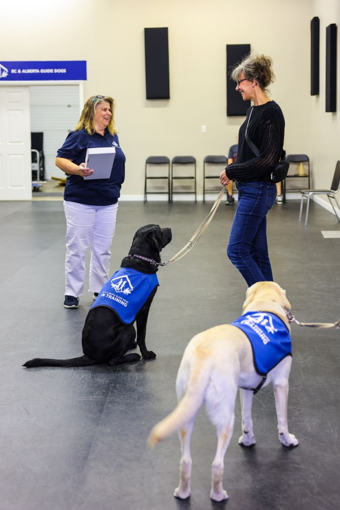 Raising guide dogs in Airdrie - airdrielife magazine