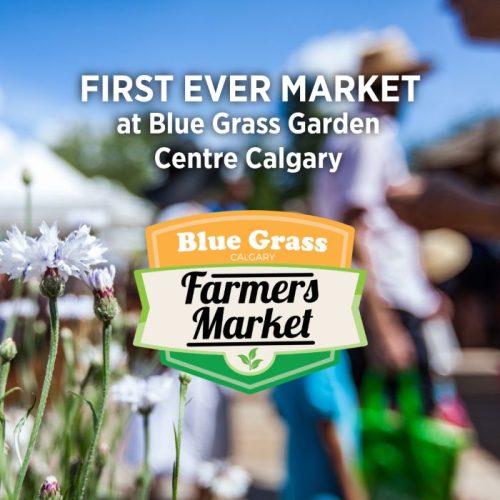 Farmer’s Market at Blue Grass Garden Centre Calgary - airdrielife magazine